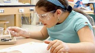 An Introduction to Integrated Studies | Edutopia