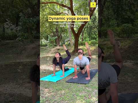 Dynamic yoga poses | practice these poses daily for healthy body #shorts #weightloss #ytshorts