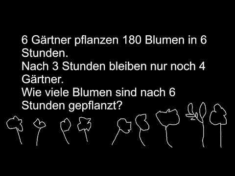 Dreisatz-Rätsel: Wie viele Blumen pflanzen die Gärtner? 🌸🌻