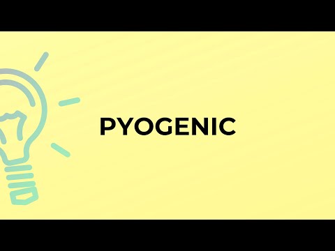 What is the meaning of the word PYOGENIC?