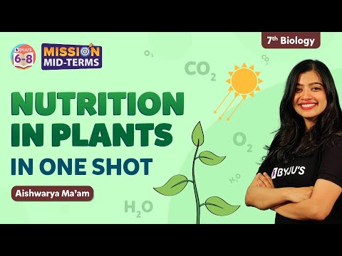 Nutrition in Plants Class 7 One Shot (Complete Chapter) | NCERT Class 7 Science Chapter 1 | BYJU'S