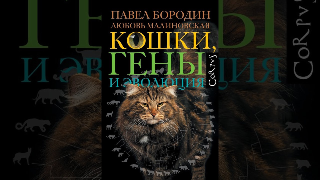 Cats, Genes, & Evolution