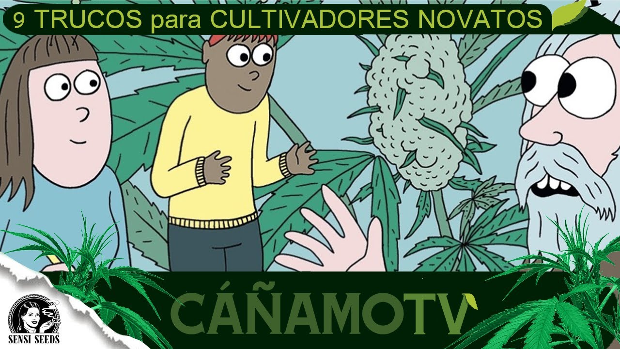 TRUCOS y CONSEJOS para CULTIVADORES NOVATOS