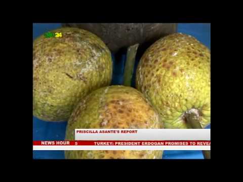 CSIR showcases research works