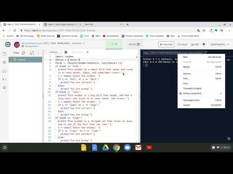 Animal Guessing Game | Python Tutorial About Conditional Statements