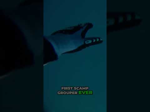 My First Scamp Grouper! (Epic Underwater Struggle)