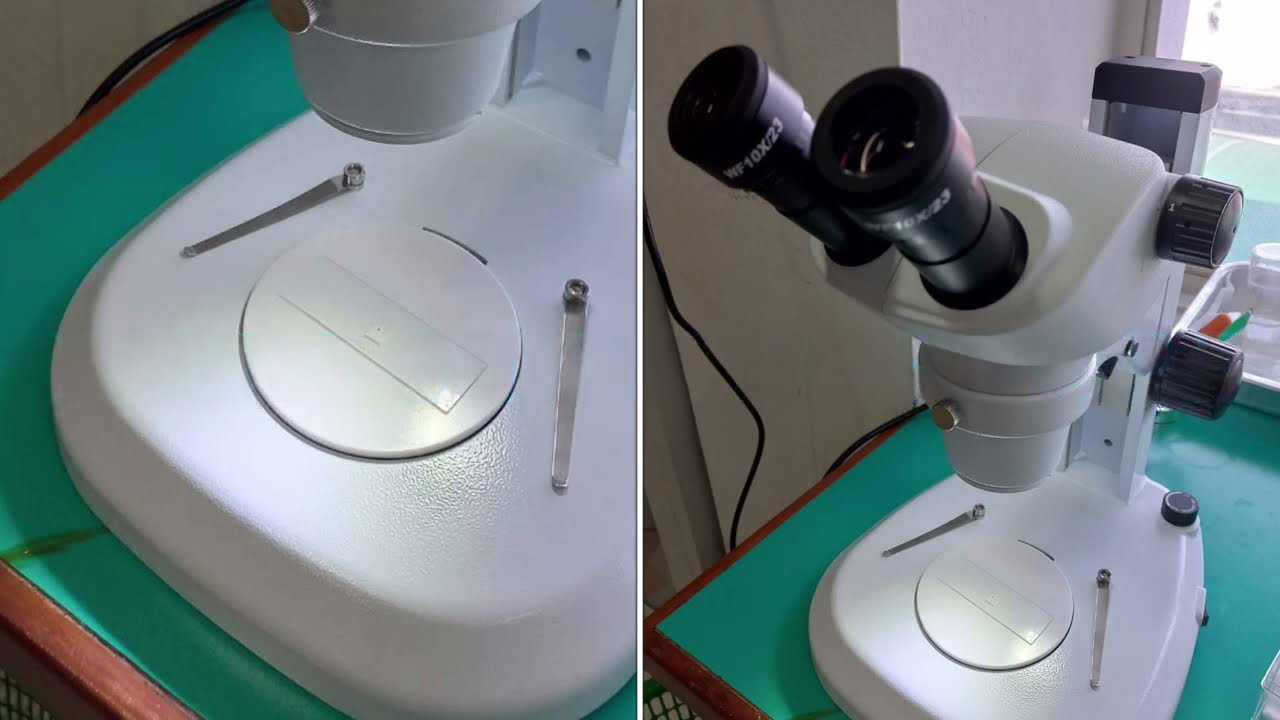 Compound light microscope vs Stereo microscope