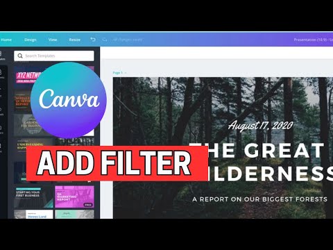 How to Add Filter in Canva 2024?