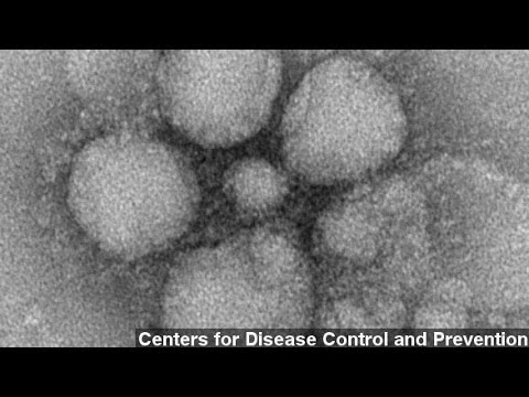 With First Confirmed Case, What Risk Does MERS Pose To U.S.?