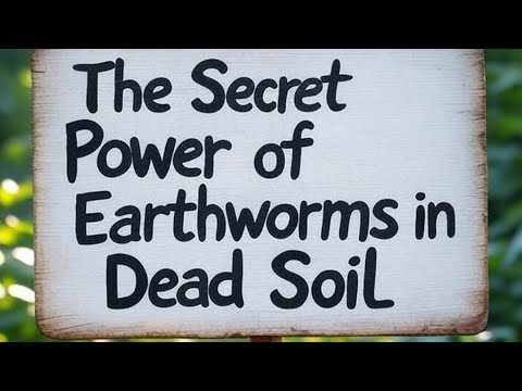From Dust to Life - The Secret Power of Earthworms in Dead Soil