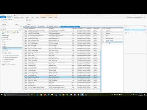 Add a New Value to a Drop-down (Domain) in ArcGIS Pro