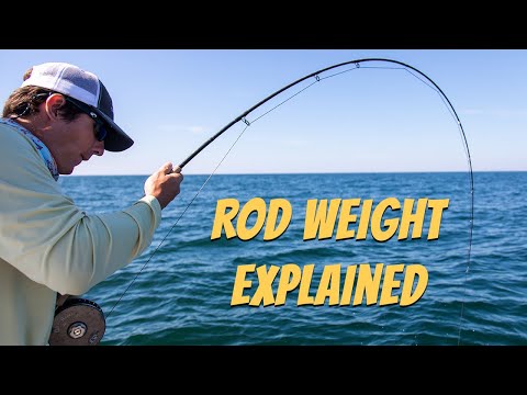 Fly Rod Weights Explained (Simple Guide for Beginners) - HuntPost.com