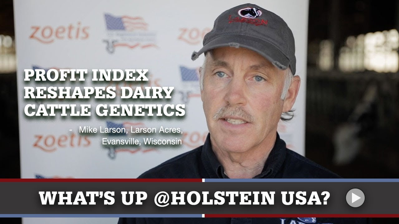 What's Up at Holstein USA: Profit Index Reshapes Dairy Cattle Genetics