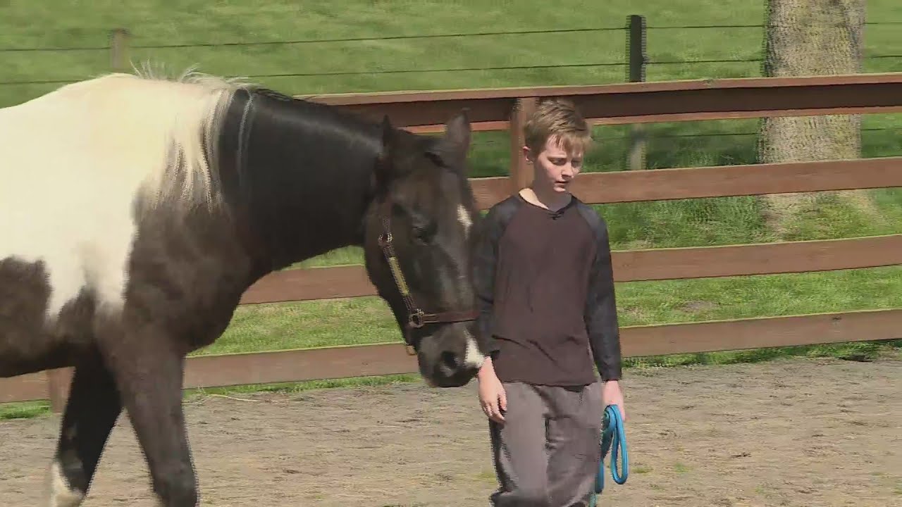 Equine Assisted Therapy helps area teens with mental health