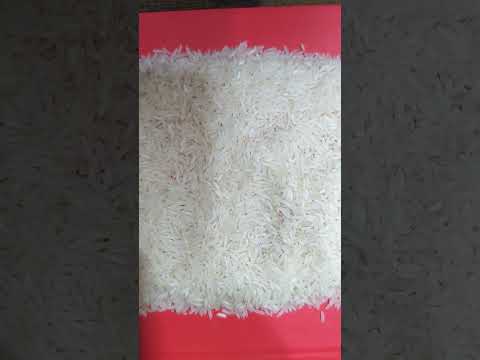 Best Quality Kolam Rice, Lachkari Kolam Rice prices, Suppliers ...