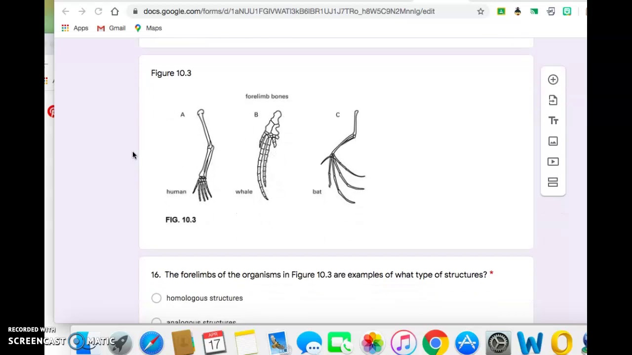 Chapter 10: Principles of Evolution
