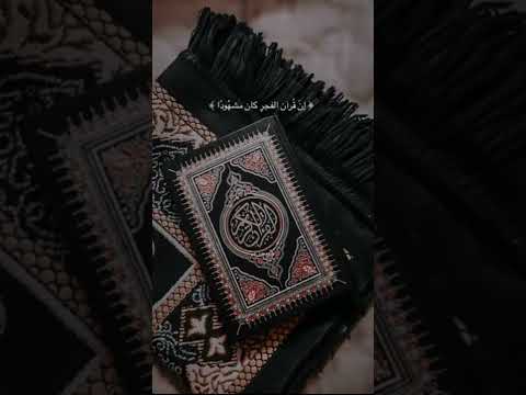 Ramadan Kareem 🌺
