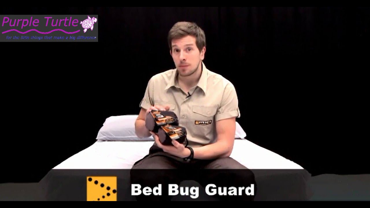 Pyramid Bed Bug Guard | Purple Turtle