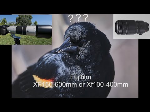 Fujifilm XF 150-600mm and the XF100-400mm: a comparative look; which would I by first!!!