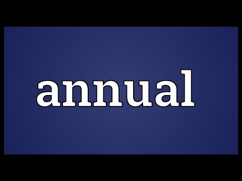 Annual Meaning