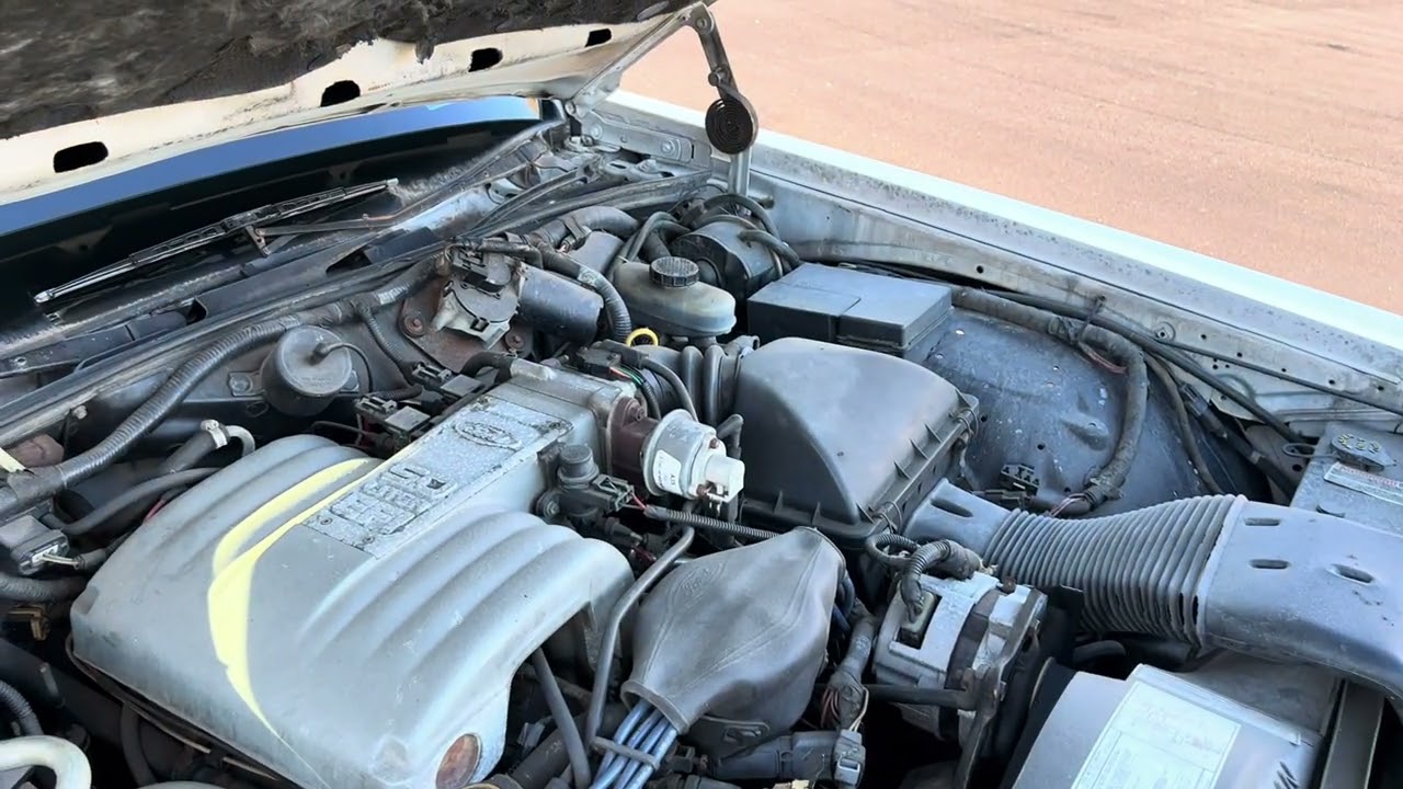 Former Movie Star? 1991 Ford LTD Crown Victoria | Barn Finds