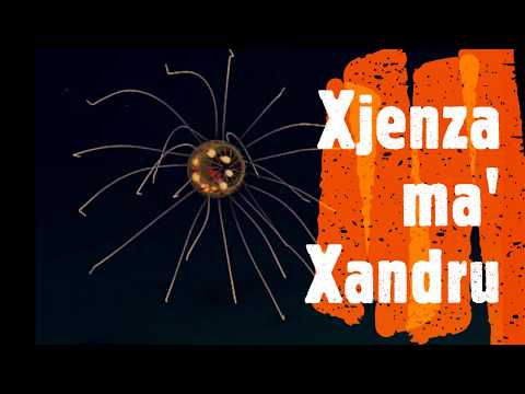 Xjenza ma’Xandru – Science Experiments for Students | St.Nicholas ...