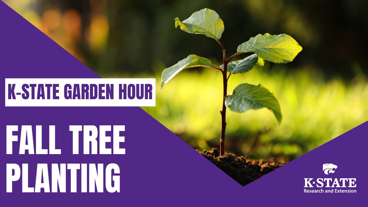 K-State Garden Hour: Fall Tree Planting