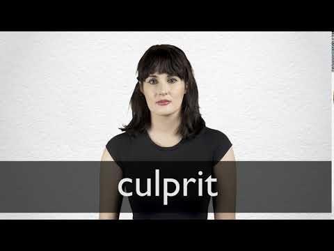 CULPRIT definition and meaning | Collins English Dictionary