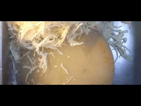 NKC: NeerajKajal : पत्ता गोभी काटने का तरीका! How To Chop Cabbage Video.