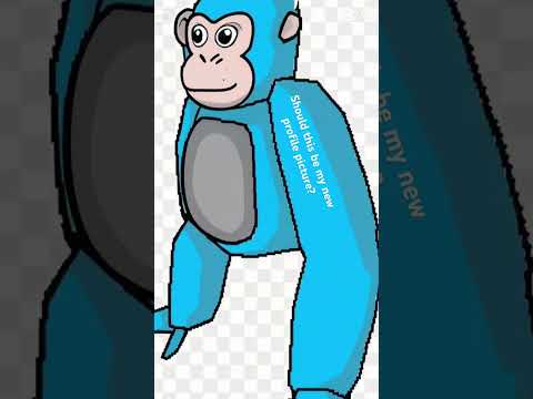 Should this be my new profile picture? #gorillatag #gorillatagquest #vr #vrplatform 