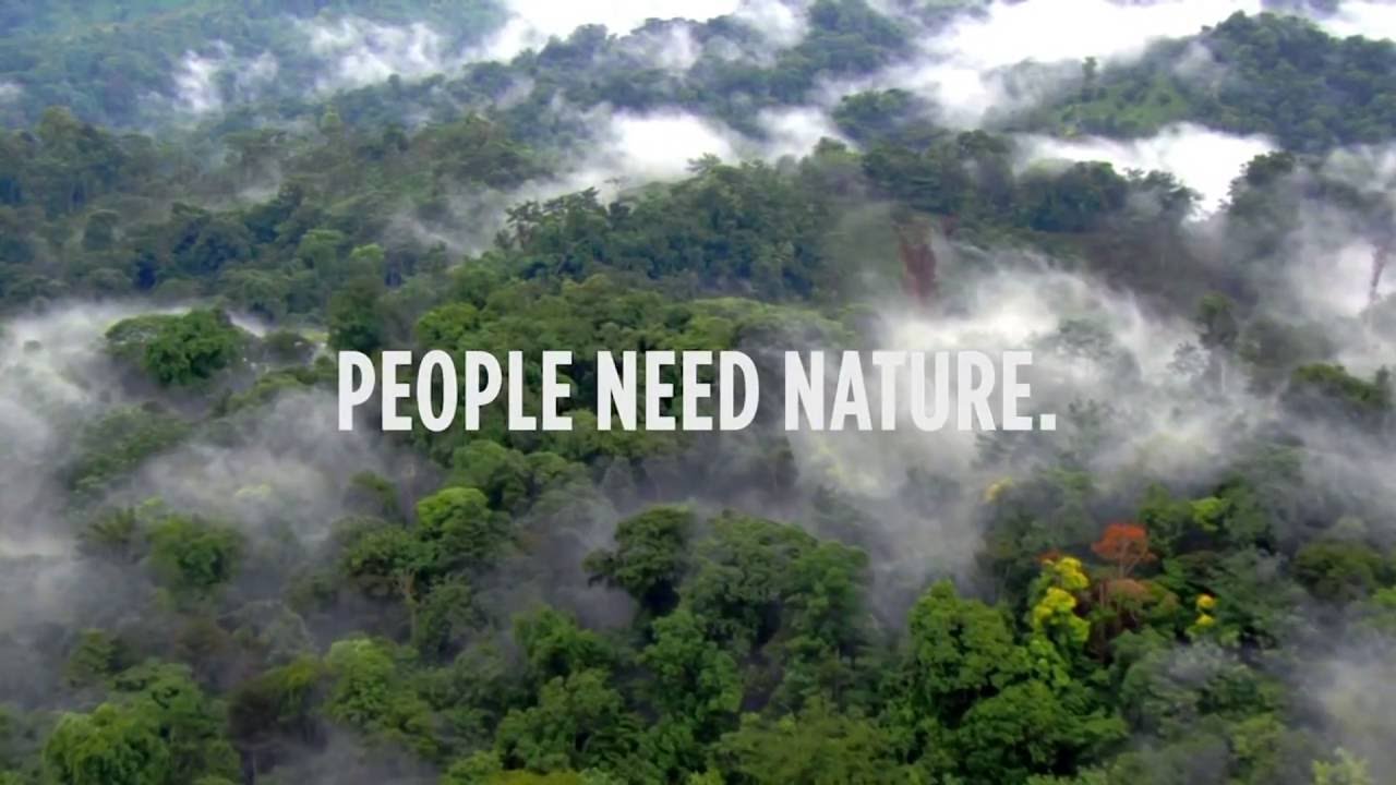 Sustainability Events: Emerging Trends in Conservation