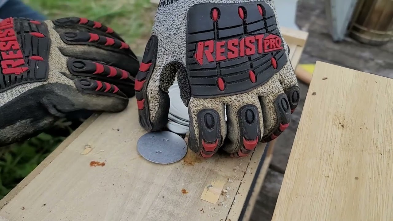 Installing a Package of Bees