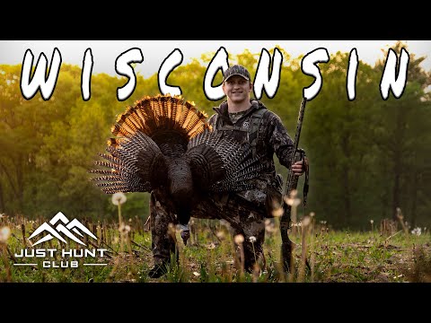Spring Turkey Hunting Wisconsin