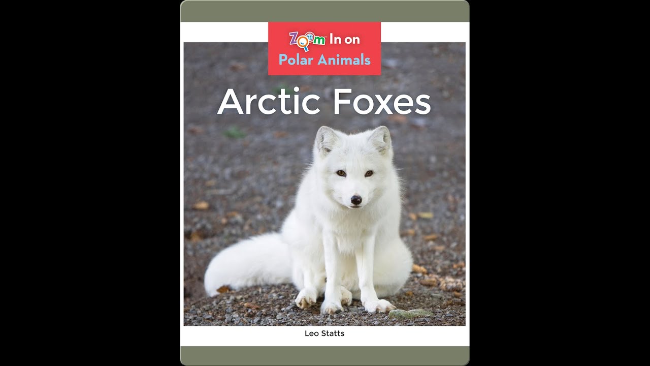 Arctic Foxes by Leo Statts