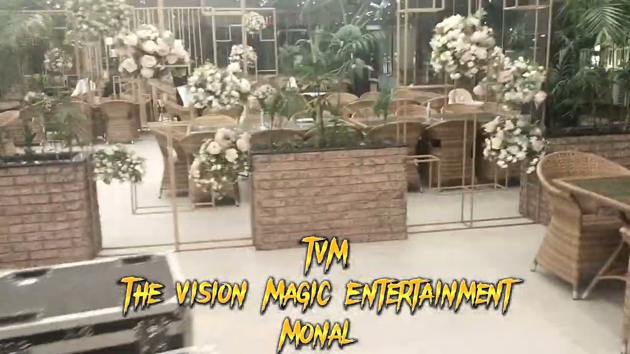 TVM the vision magic entertainment