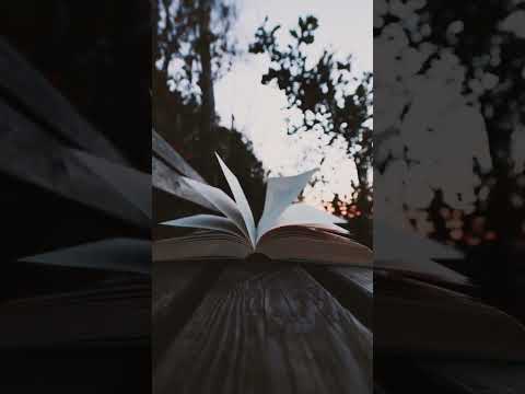 Book Pages Wind | Nature-themed Films #books #pages #wind #short #nature #naturethemedfilms