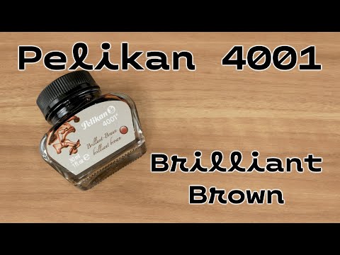 Pelikan 4001 Brillian Brown | It's Been an Interesting 4001 Journey.