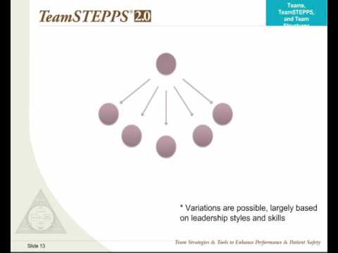 Teams, TeamSTEPPSĀ®, and Team Structures: Models for Functional Collaboration