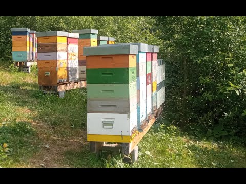 La produzione 2025 sta finendo, si tira una riga e si fa la somma.