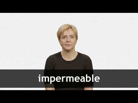 English Translation of “IMPERMEABLE” | Collins Spanish-English Dictionary