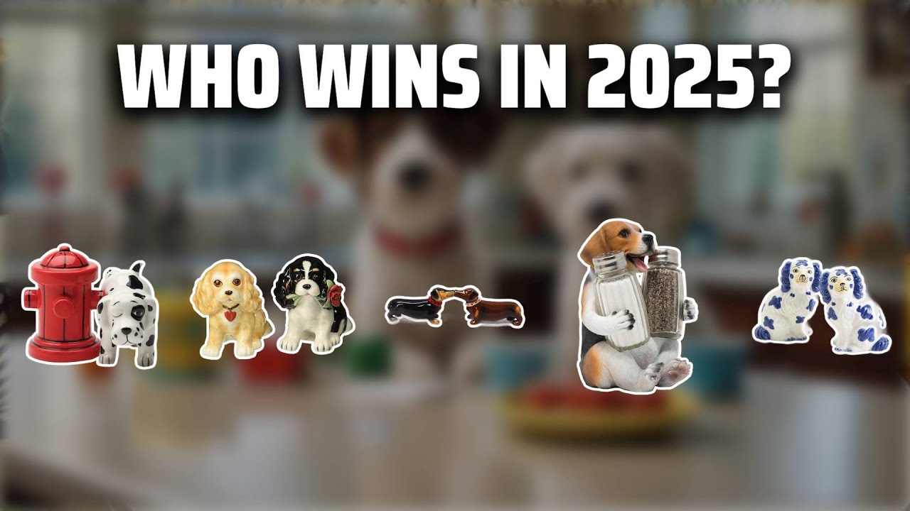 The Top 5 Best Dog Salt Shakers in 2025 - Must Watch Before Buying!