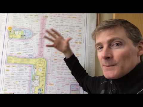What is the "Acid" in Lactic Acidosis & What Does it Do?