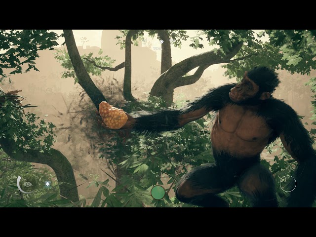 Ancestors: The Humankind Odyssey explained - Platform details ...