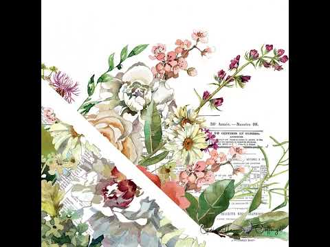 Elysium - IOD Iron Orchid Design Transfer