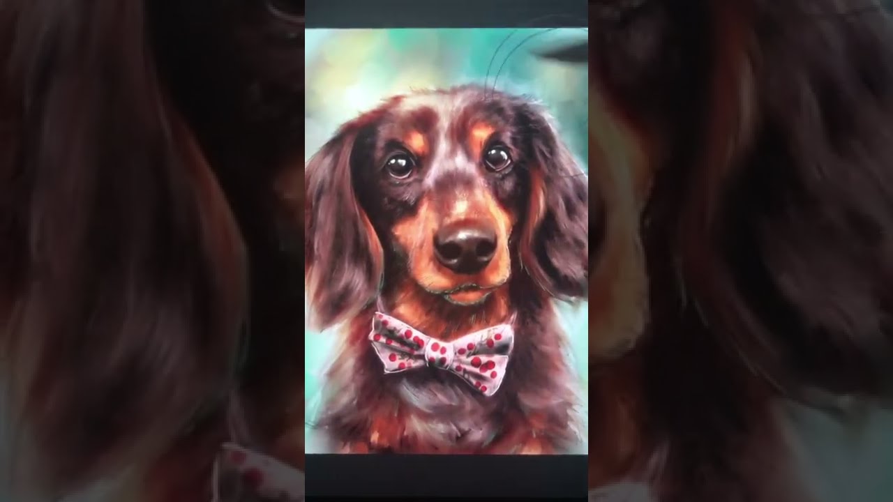 Digital Drawing in Procreate | Pet portrait dachshund