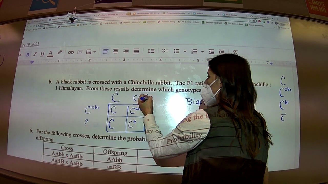 Genetics Problem Set Review