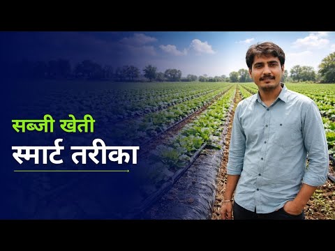 Mulching Film - Mulch Film Latest Price, Manufacturers & Suppliers