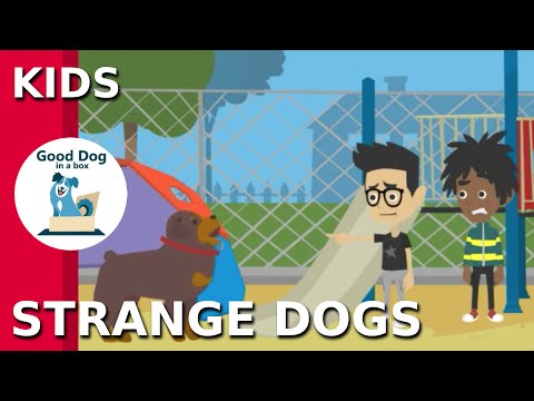 [STRANGE DOGS]: Be SAFE - Dog Bite Prevention Video for Kids | Good Dog In A Box (2019)