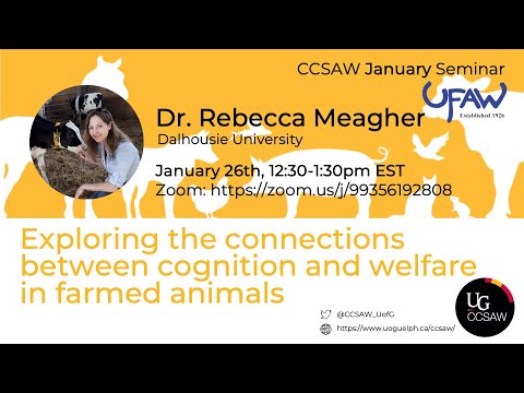 Exploring the connections between cognition and welfare in farmed animals | Dr. Rebecca Meagher