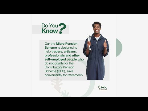 Pension 101: Do You Know About Micropensions?